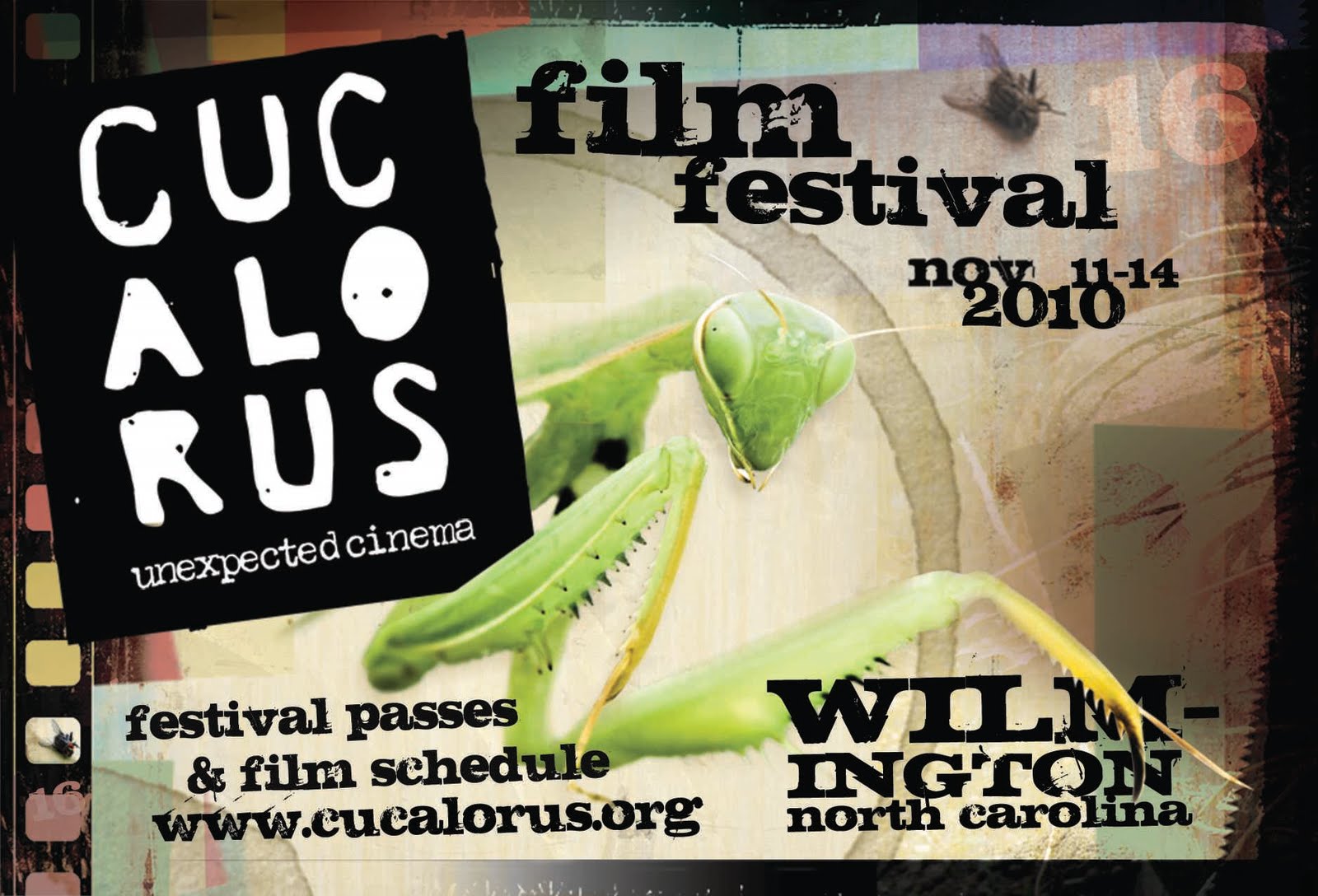 What's Screening at Cucalorus? - Cucalorus Film Festival