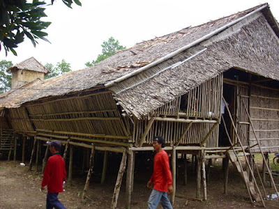 Bamboo Living Pod Concept