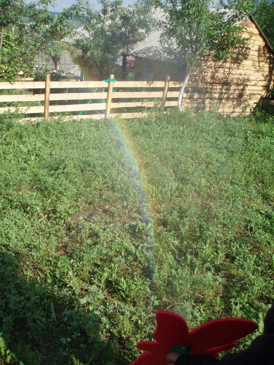 Blogul Simonei: Curcubeu x 2. Poze