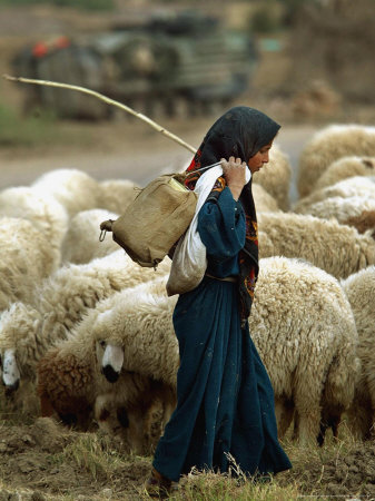 Debbi's Blog: Shepherds Girls...