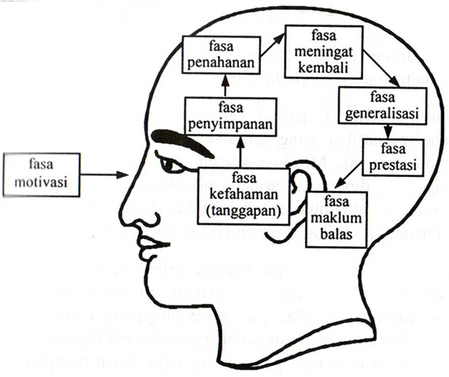 MODEL PENGAJARAN PEMPROSESAN MAKLUMAT: FASA