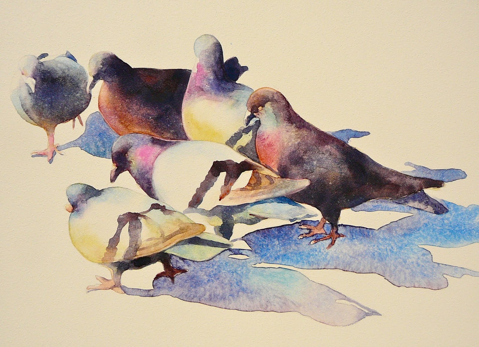 ariel freeman fine art: Funky Pigeon Facts