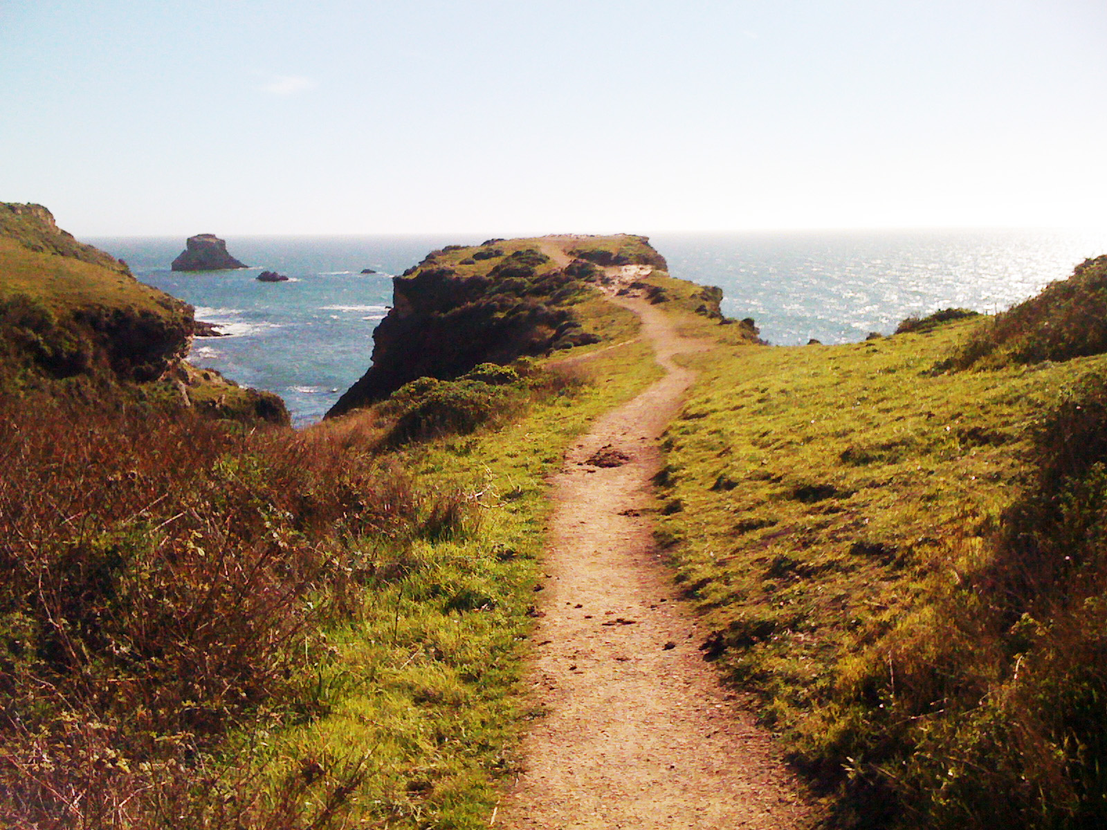 Hayley Hikes the Bay Area: #22 Bear Valley to Arch Rock, Point Reyes