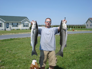 Sussex County Delaware News: Trophy Rock Fish Season