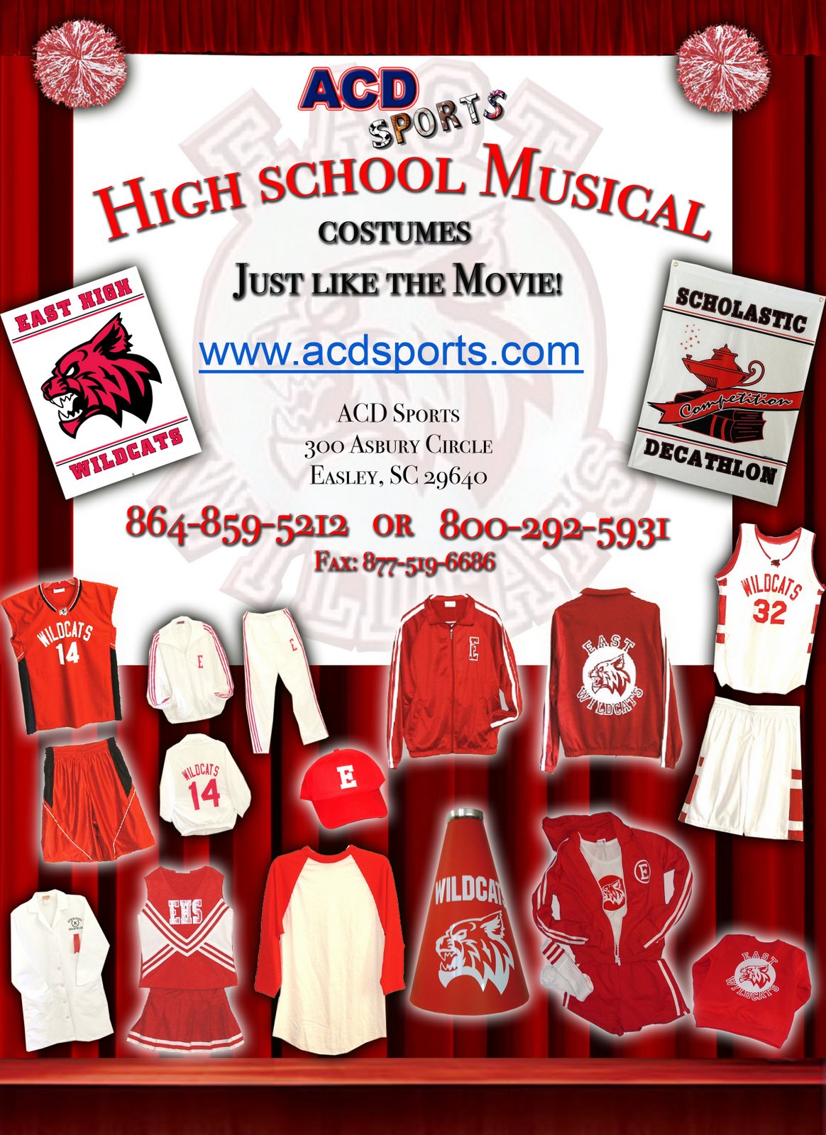 High School Musical Costumes