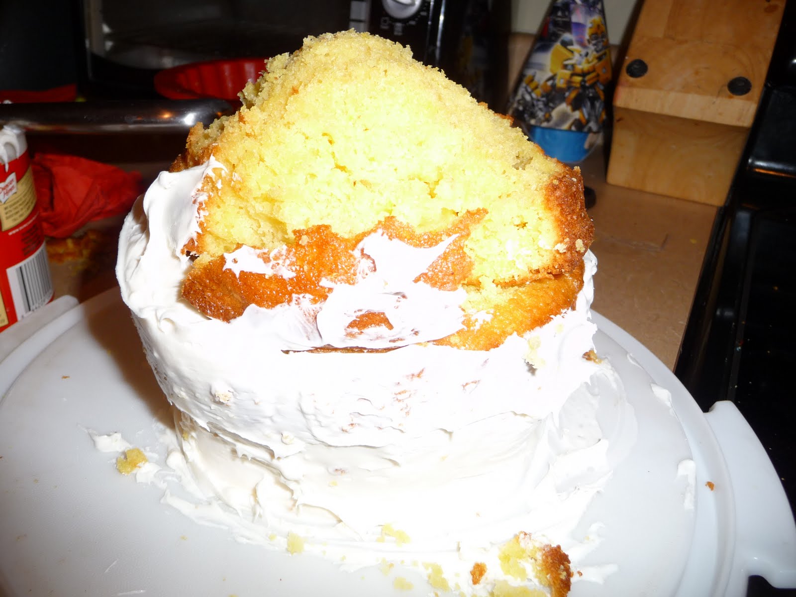 The Zimmerman Family: Biggest. Cake. Disaster. EVER.