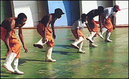 Global Steps: Step Dancing