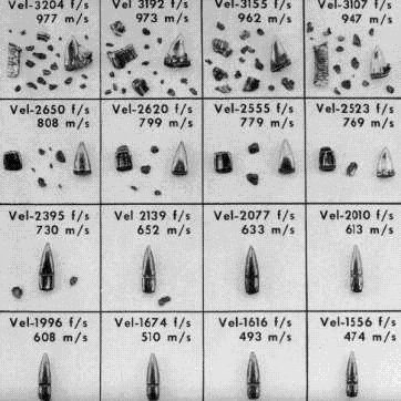 Wesley Marques: A Balística Terminal e o Stopping Power