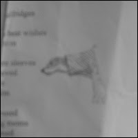 Various: A Poem which attempts to dissuade you from bringing your ...