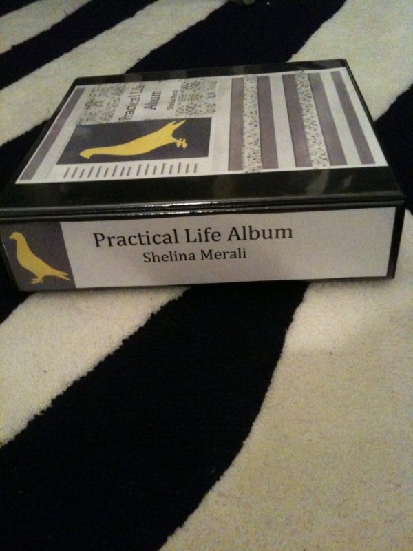 For the Love of Montessori: Practical Life Album