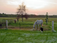 Hoofbeats: HEART OF DIXIE TRAILRIDE & CAMPGROUND