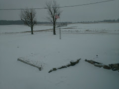 Life in the Dweeb Lane: Clear Springs Auction