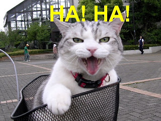 Visual Consumer: Evil Cat laughs at you