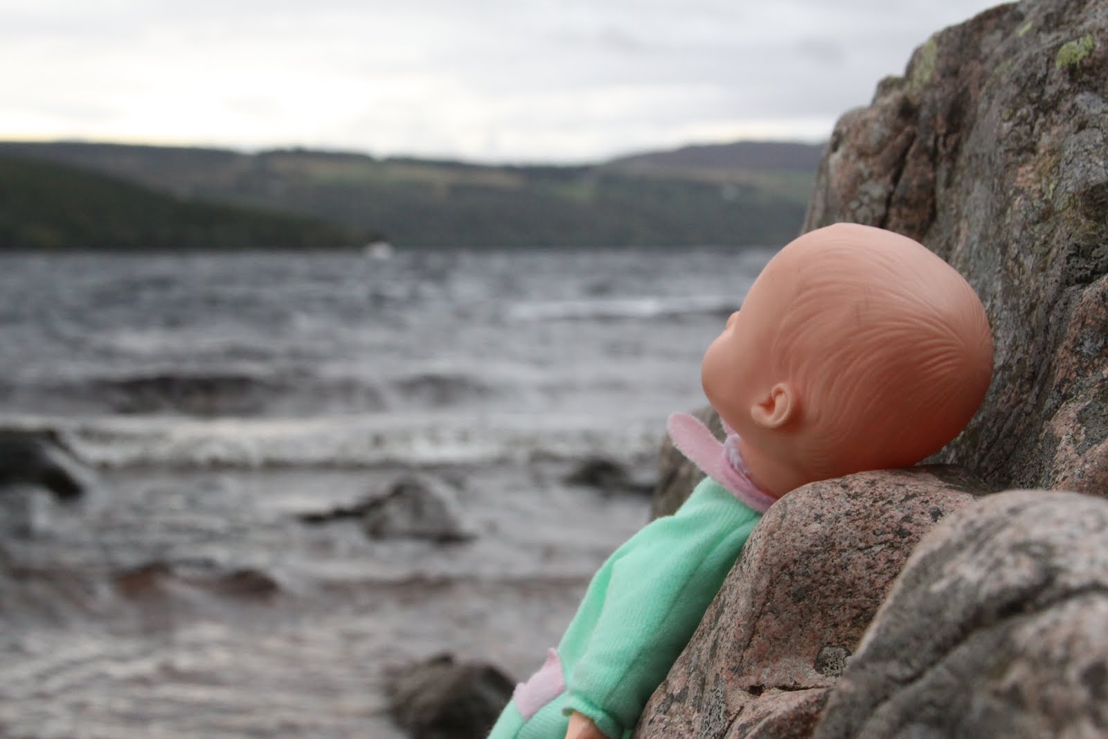 Baby Buttface Takes on the World: The Short Life of Baby Buttface...