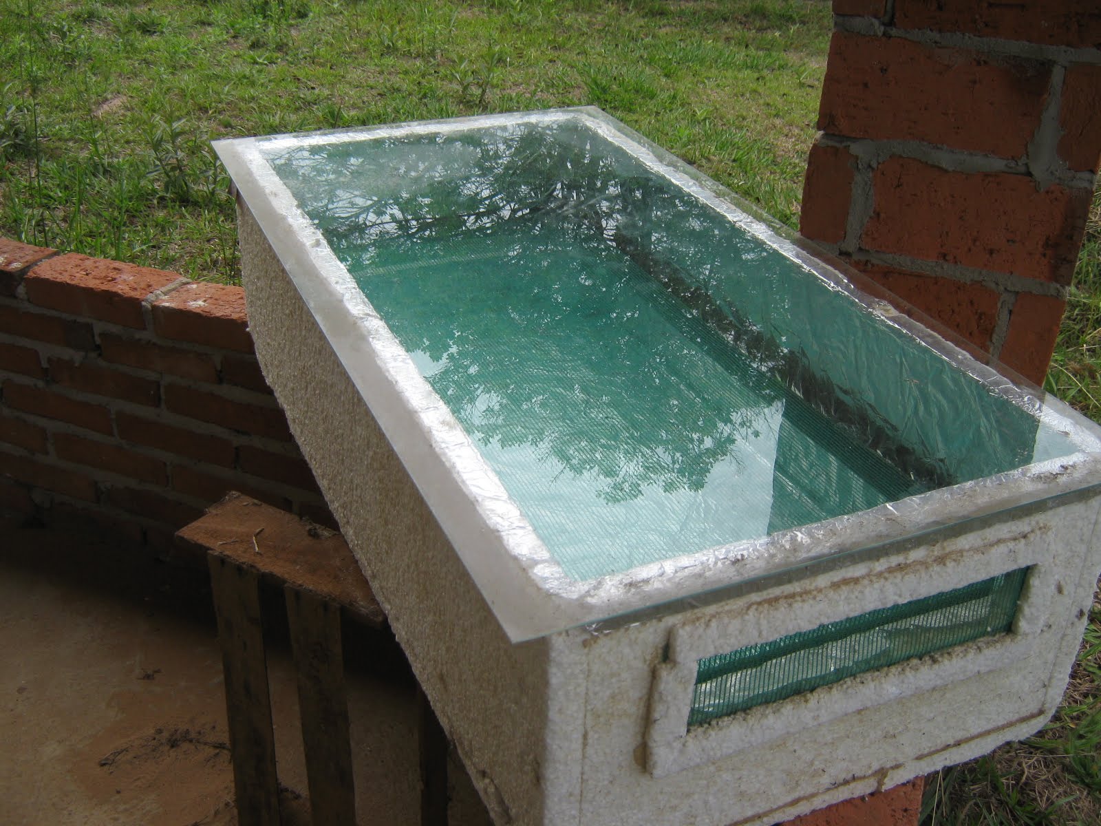 Projeto Plante Uma Árvore: DESIDRATAÇÃO DE FRUTAS E LEGUMES COM SECADOR ...