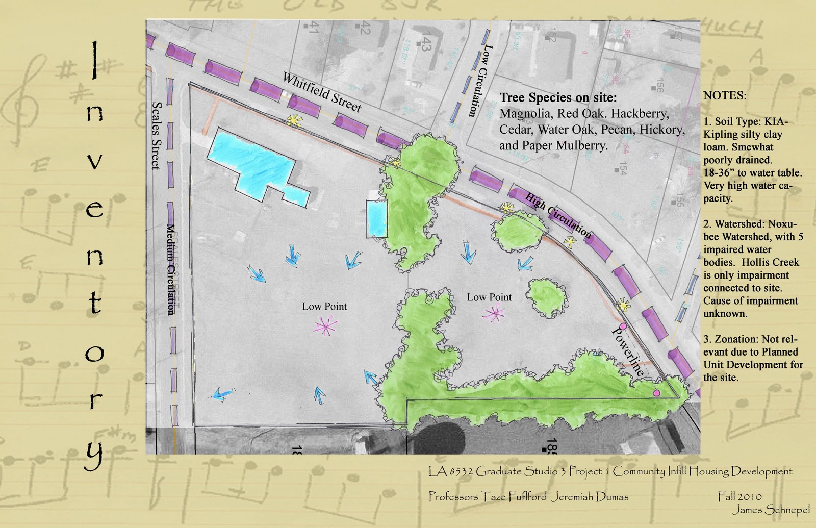What am I thinking about Landscape Architecture?: Site Inventory