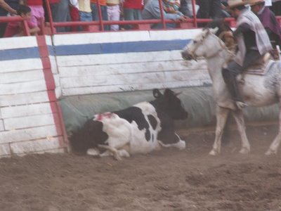 El mundo de ayer y hoy.: El Rodeo en Chile, una tradición que debemos ...
