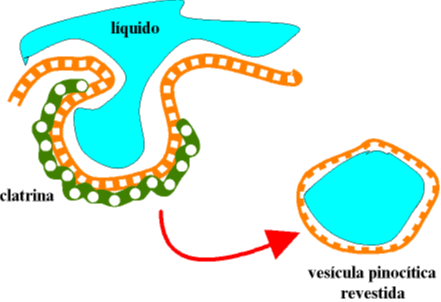 Biologia de la celula av: Identificación de fuentes de información para ...