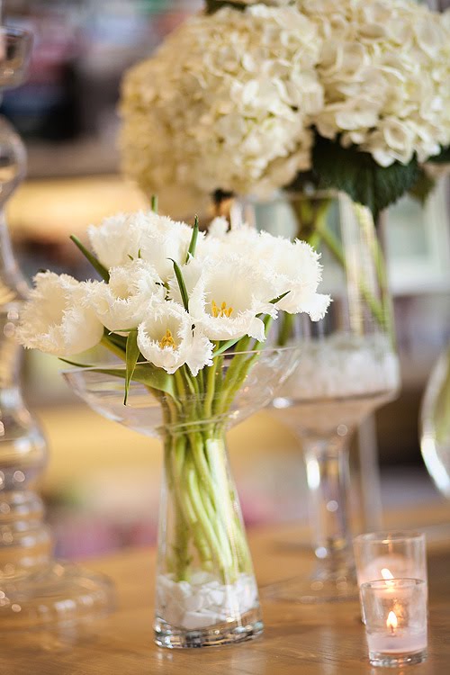 JL DESIGNS: book signing