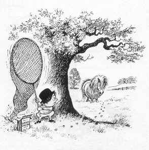 Spaces Between The Gaps: Creative Cauldron - Thelwell