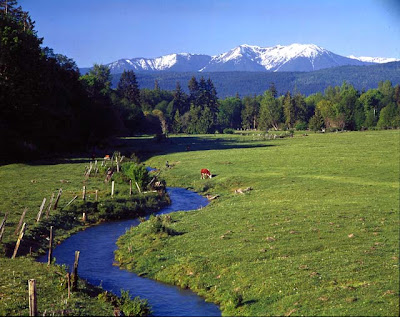 The RVGypsies travel blog: SEQUIM OR BUST