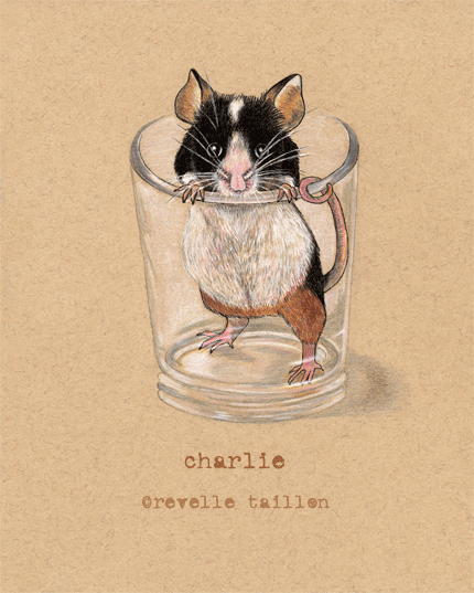 Colored Pencil Art Maker