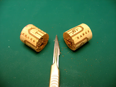 EfS in Queenstown Lakes: Step-by-Step Instruction On How To Make A ...