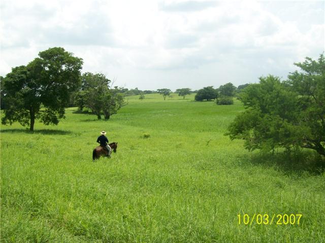COSTA FINCA - Finca Raiz de Cartagena-Bolivar-Colombia: FINCA EN SANTA ...