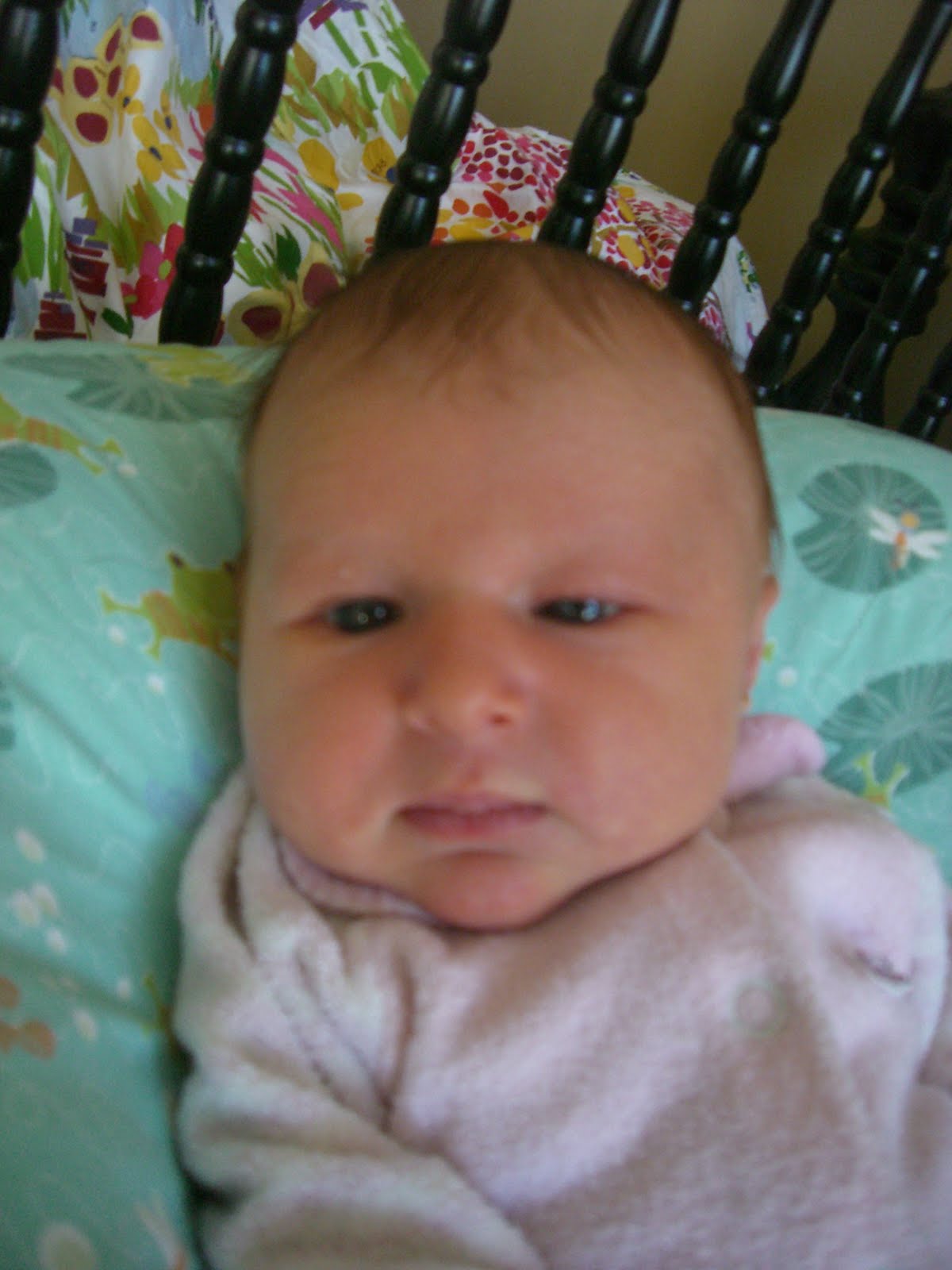 The Foxes Three: I don't know nothin' 'bout birthin' babies