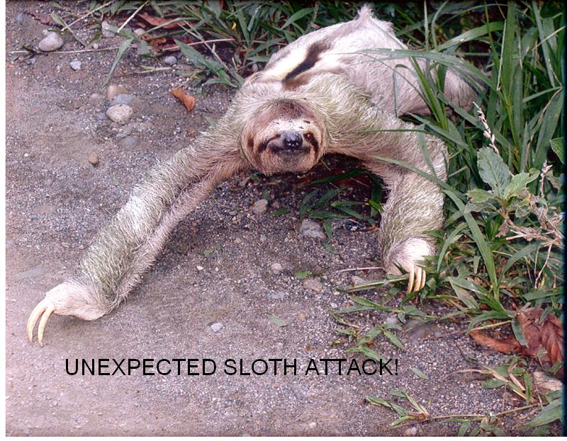 Captain ThunderCrotch III: January 2011