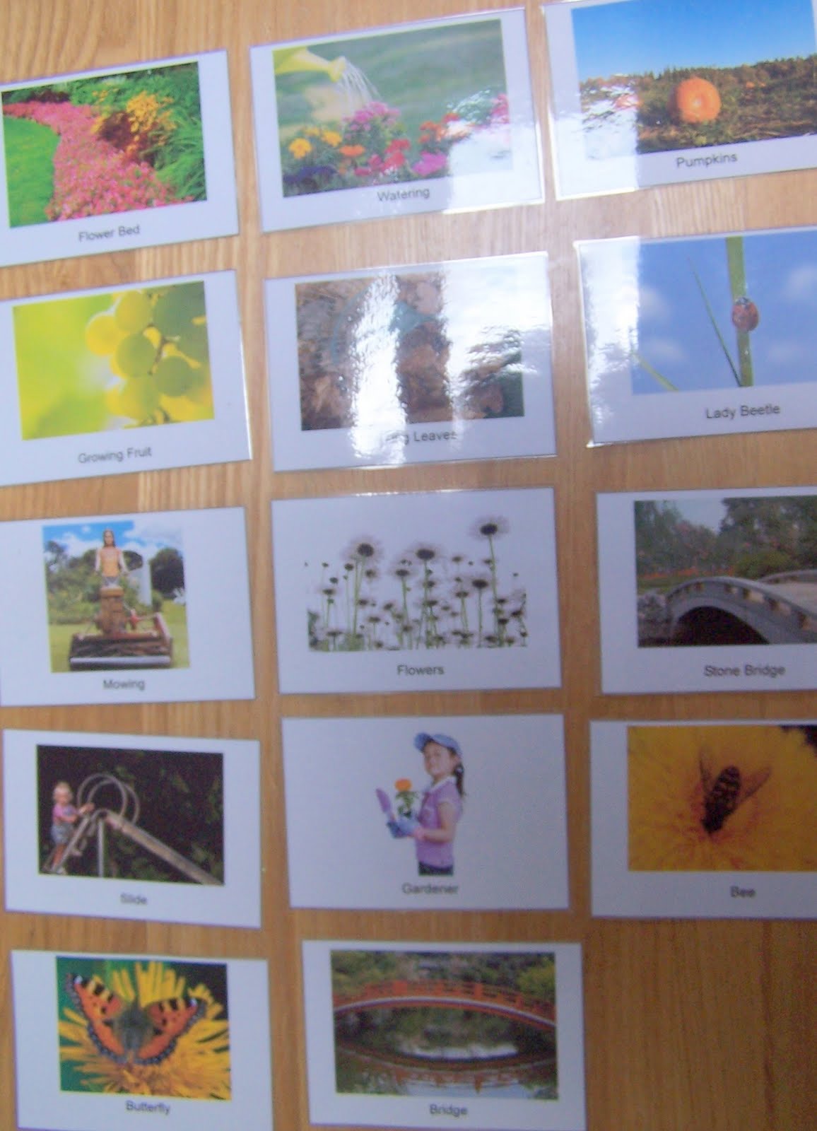 Plants: Free Printable, Story Writing Cards