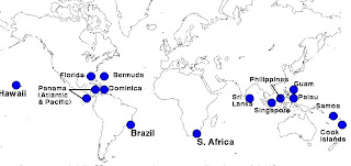 The Echinoblog: "The Most Common brittle star in the world"?? The ...