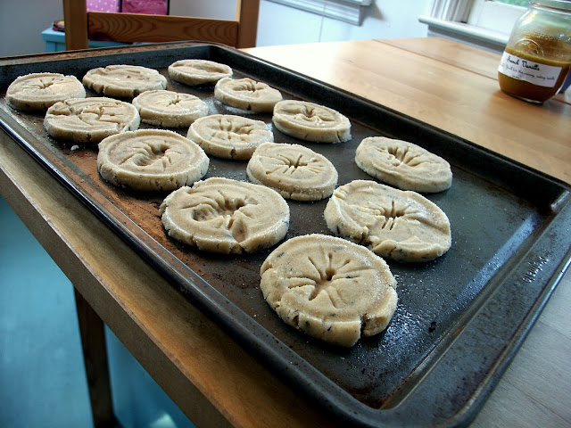 M Cubed: Fossil Cookies!
