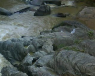 @LoNG TT: SANTAI DI JERAM GADING RESORT JELEBU N9