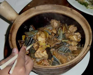 HOT PICS OF THE DAY!: SNAKES