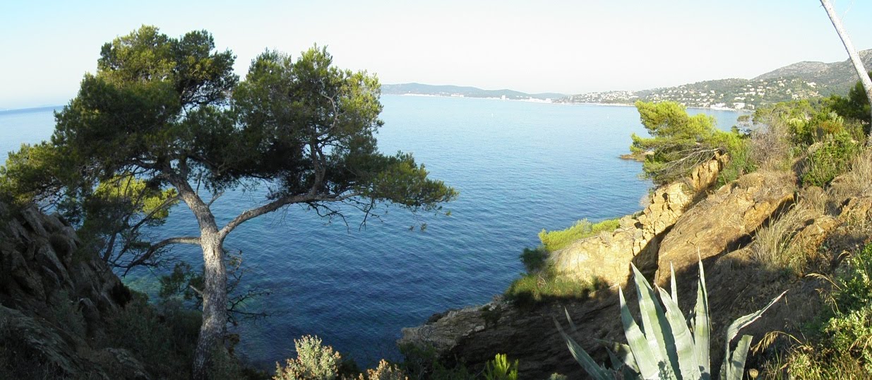 Pointe du Layet: Le Layet N°4