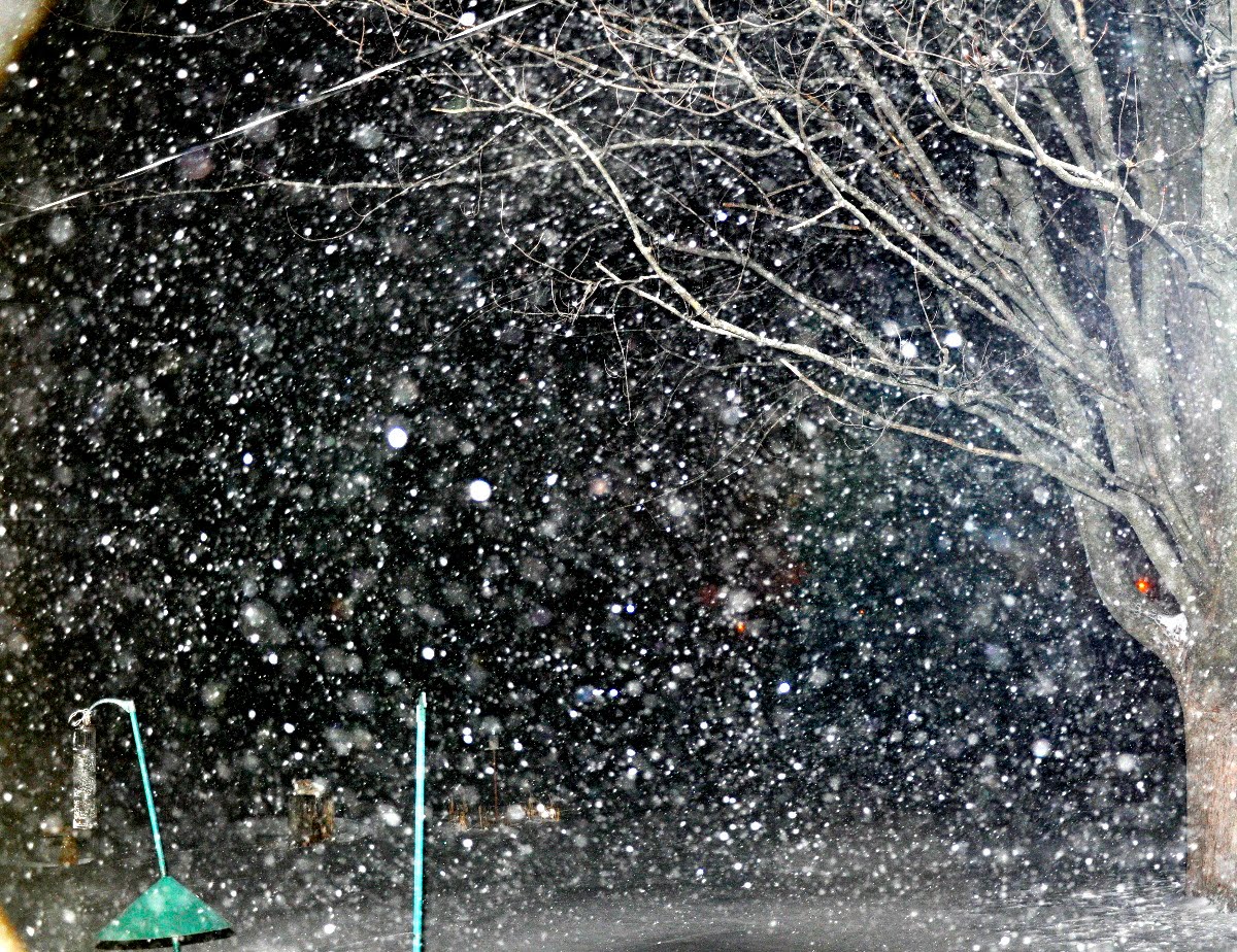 Palemaleirregulars: Pale Male, the Un-update, The Snow Spector, The Two ...