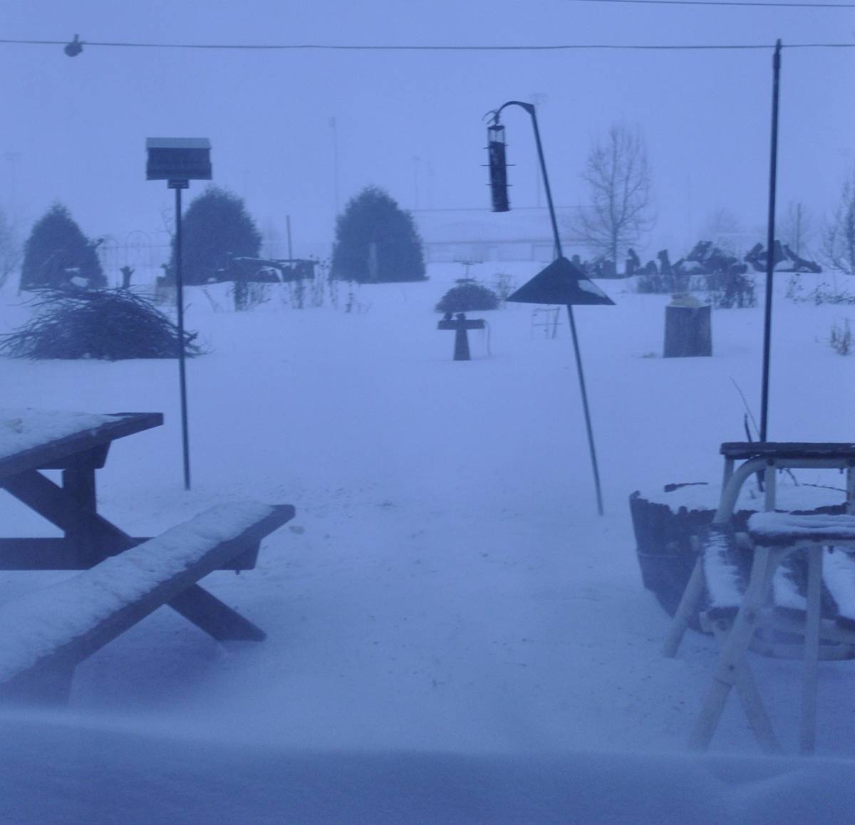 Palemaleirregulars: Pale Male, the Un-update, The Snow Spector, The Two ...