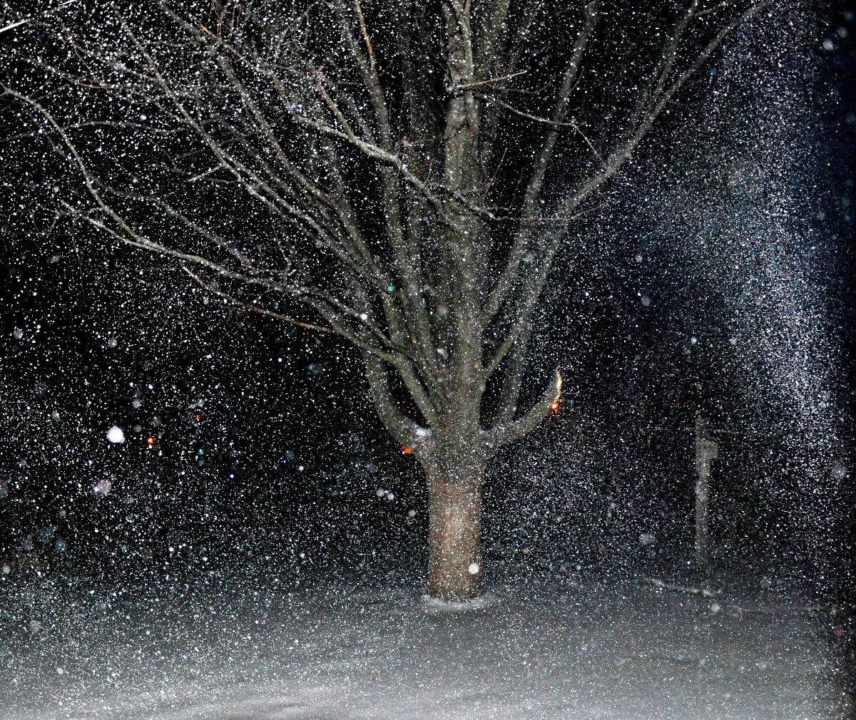 Palemaleirregulars: Pale Male, the Un-update, The Snow Spector, The Two ...