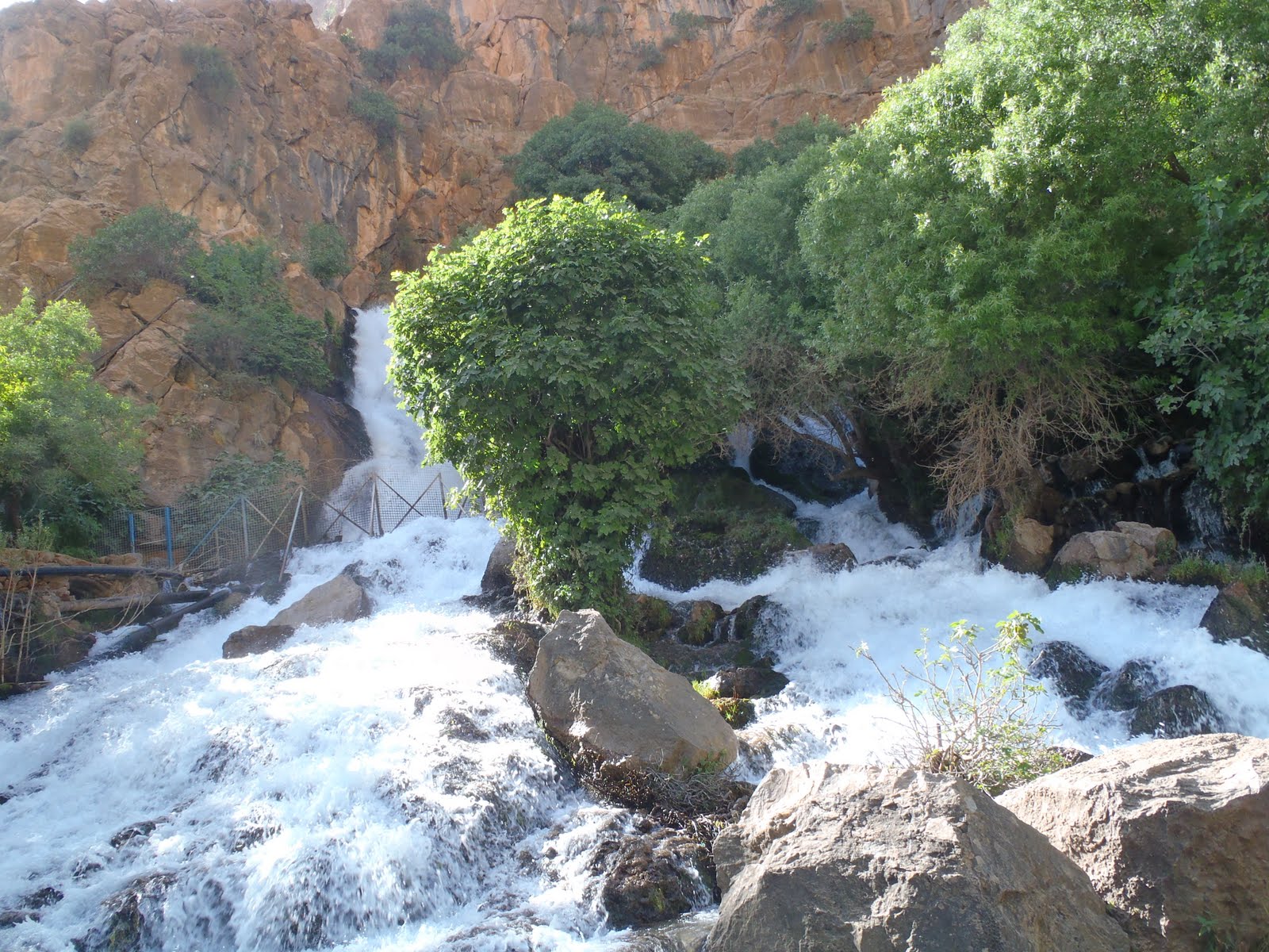 Preston in Iraq: Ahmed Awa
