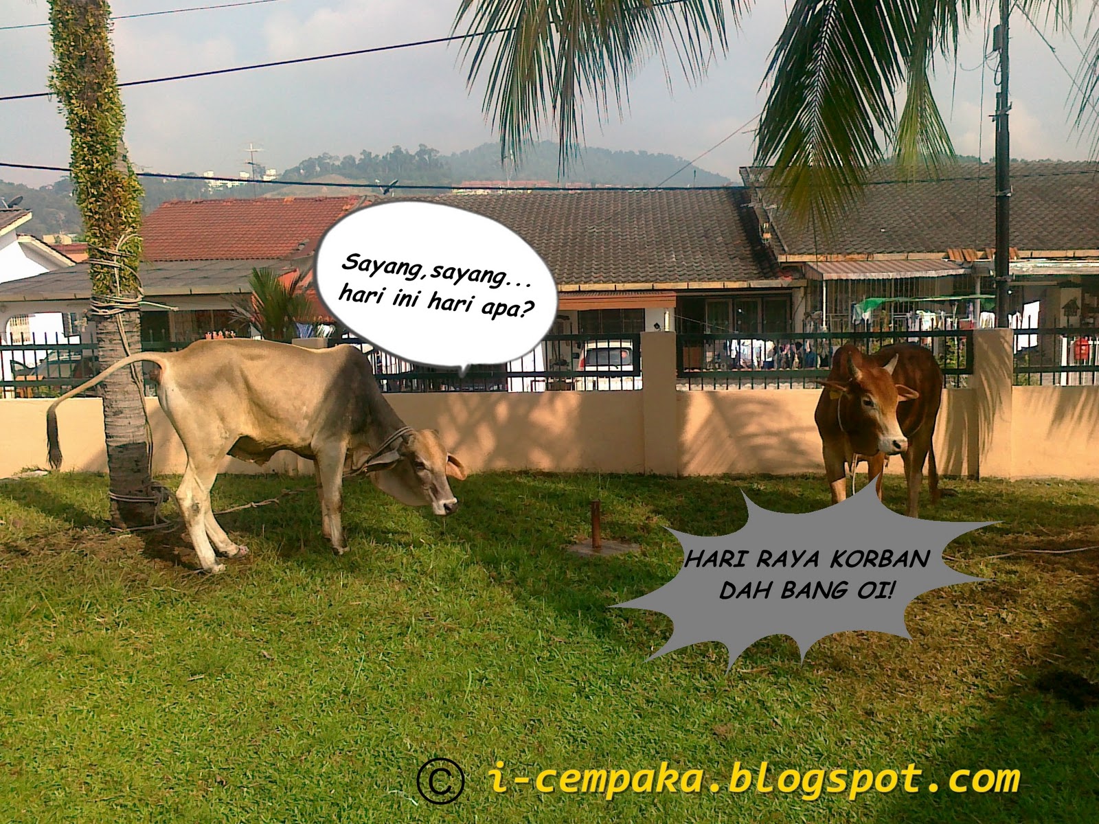 Ibrahim's Sacrifices: The Meaning of Aidil Adha | C.I.A