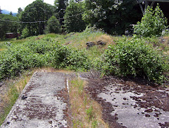 The Broughton Lumber Flume