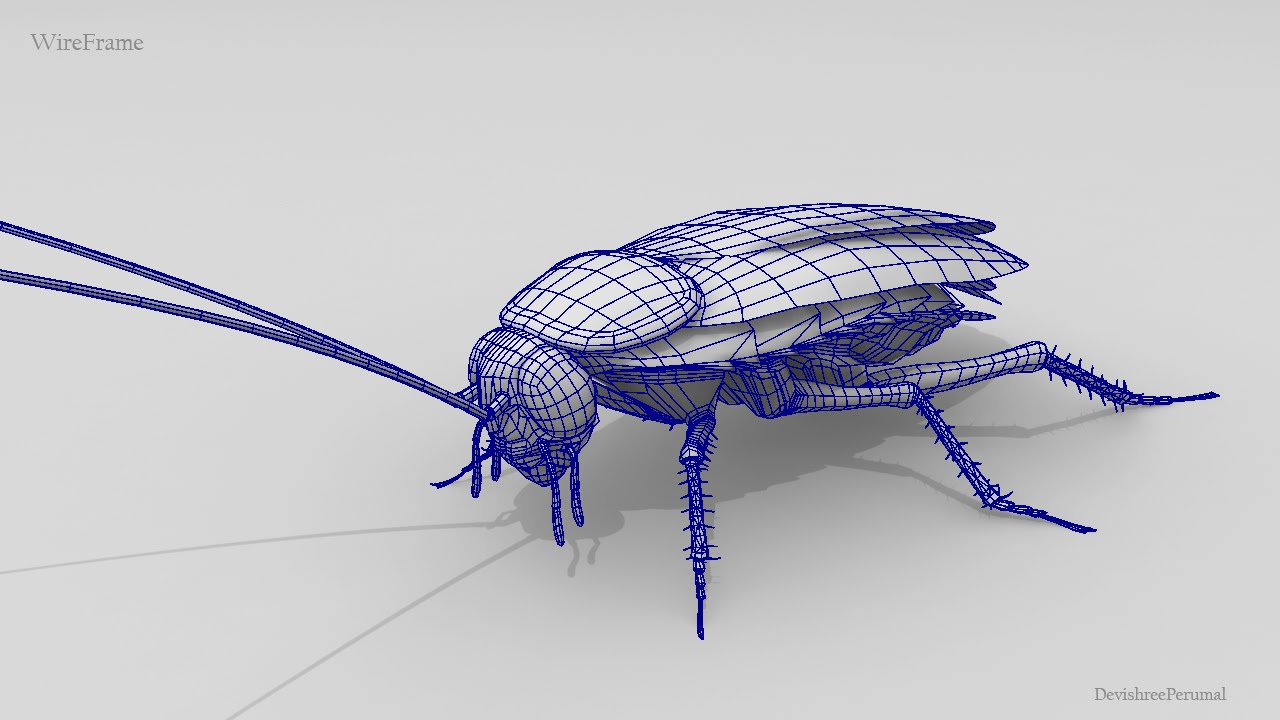 Devi's Blog: 3D Model with WireFrame - Cockroach