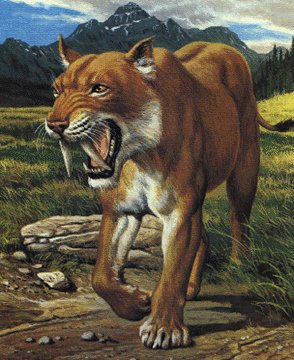 "Saber Tooth" an extinct animal in the world