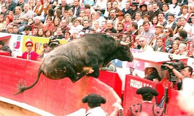 ASUNTOS DOMÉSTICOS: A un toro volador