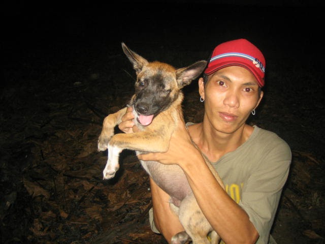 FACTS OF LIFE: Philippine Native Dogs