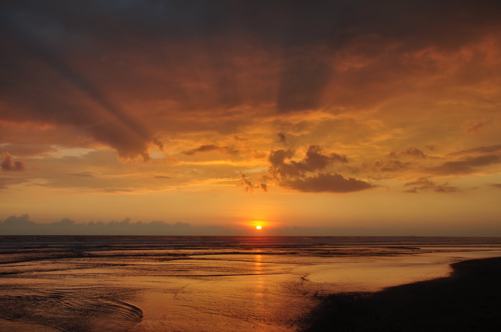 Exploring The World: A Turtle Eclipse of the Heart