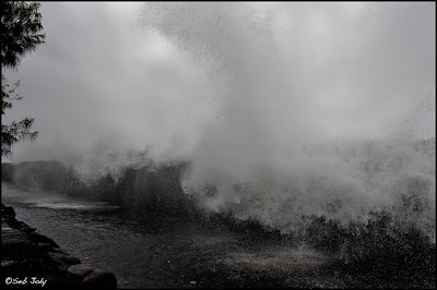 TAHITI HERALD TRIBUNE: En direct du cyclone OLI....