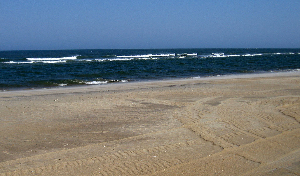 Bill's OBX Beach Life: Small Yet Fun at Cape Point!