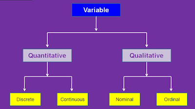 Window to Statistics for Beginners: Topic 1 - Types of Data